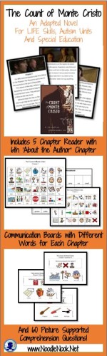 Best of 2016- Teaching Students with Disabilities | NoodleNook.Net