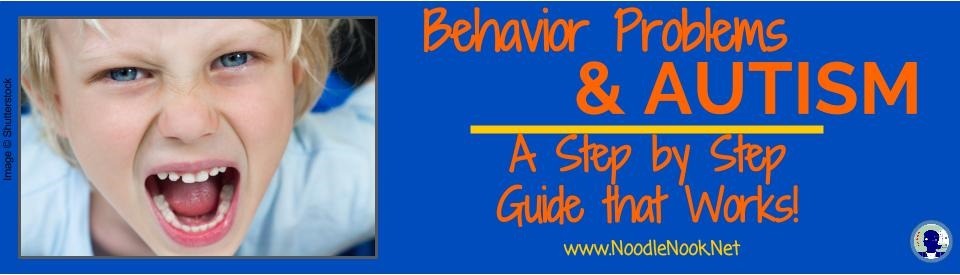 Addressing Behavior Problems- Autism | NoodleNook.Net