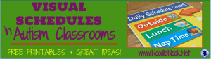 Visual Schedules in Autism Classrooms | NoodleNook.Net
