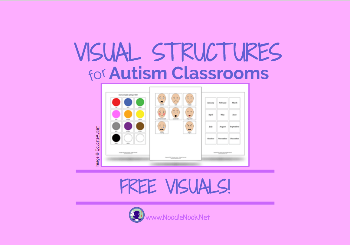 Visual Structure for Autism Classrooms | NoodleNook.Net