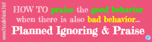 Ignore Bad Behavior Reward Good - NoodleNook.Net