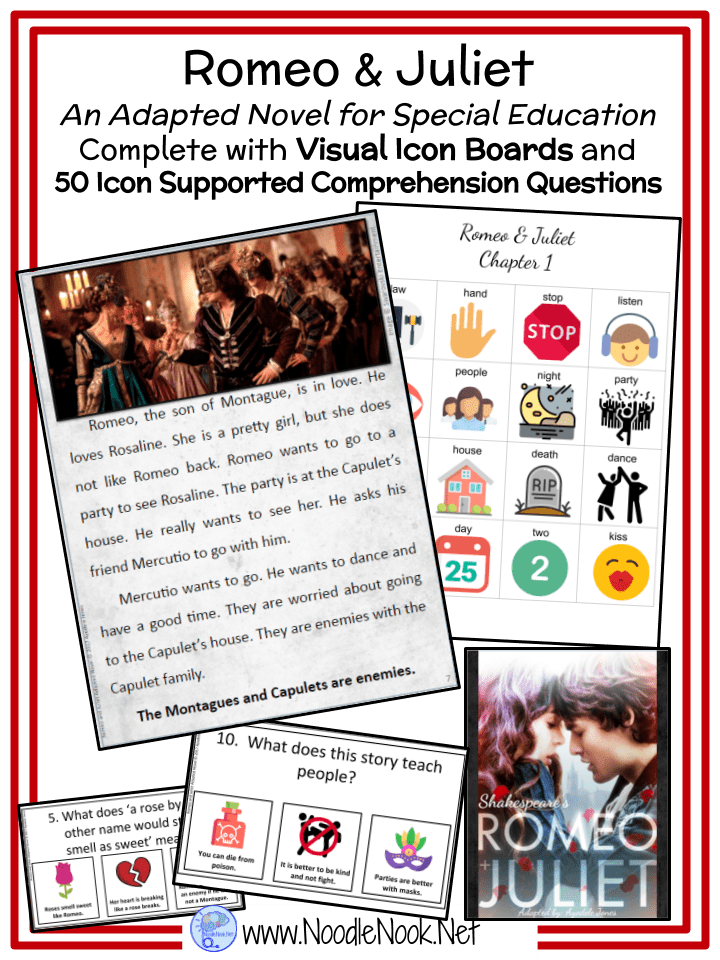 Graphic Organizers for Any Book | NoodleNook.Net