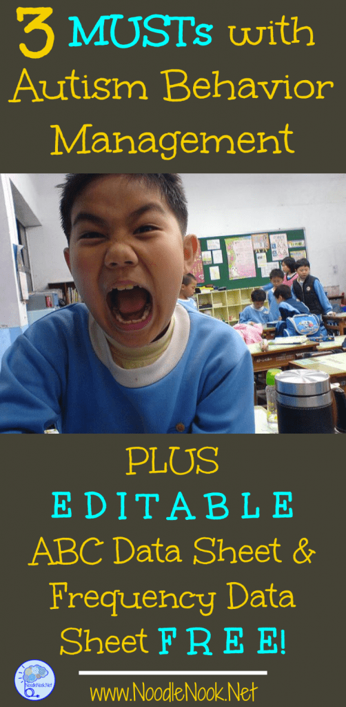 Teaching a Student to Stop Hitting- Episode #003 of The Nook