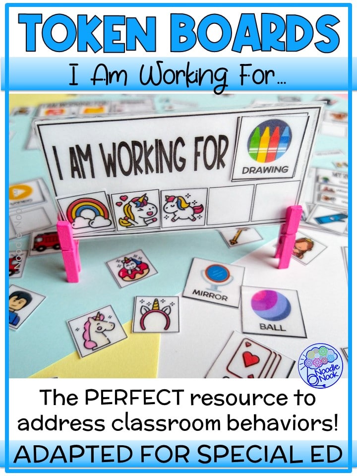 Best of 2016- Teaching Students with Disabilities | NoodleNook.Net