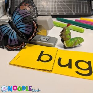 Phonemic Awareness IEP Goals (Examples & Ideas for Use)