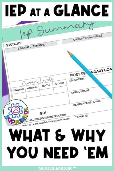 Special Education: IEP at a Glance Printable (Easy Prep)
