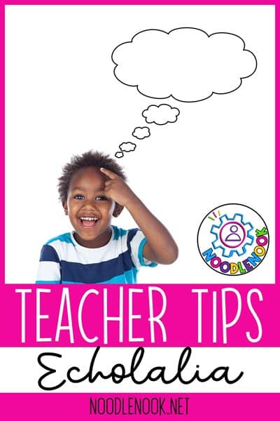 Teaching Students with Echolalia (4 Tips and Helpful Facts)