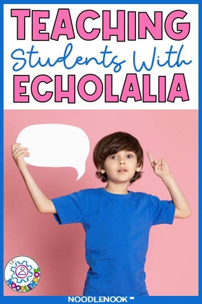 Teaching Students with Echolalia (4 Tips and Helpful Facts)